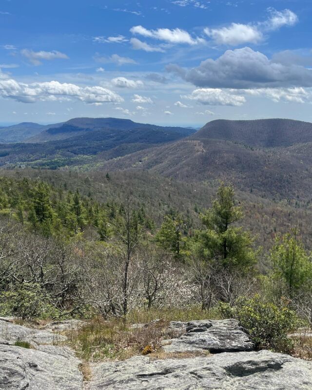 Photo Gallery - SOLO Southeast at NOC